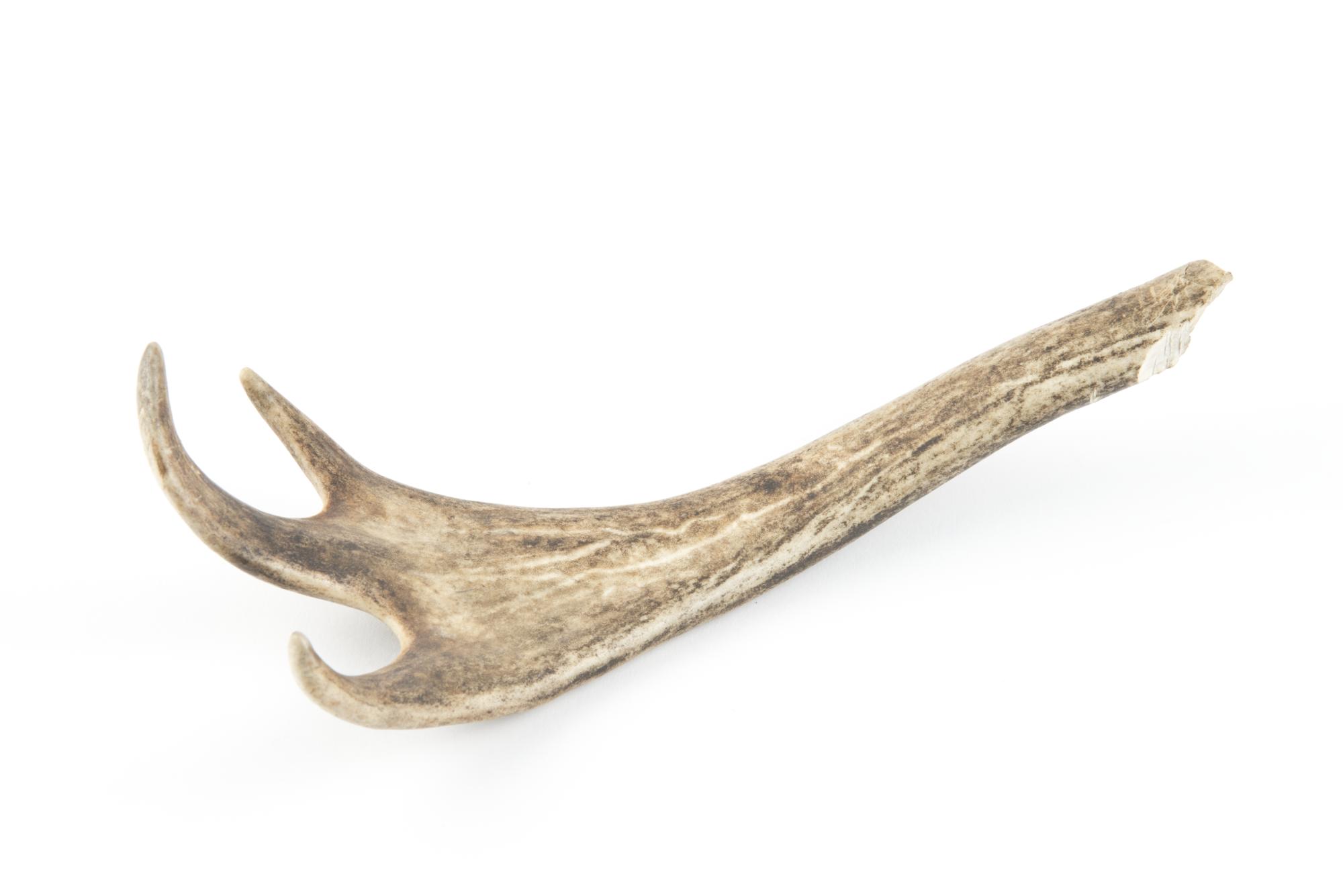 Kringla - horn, material och råvaror, råämne renhorn, hantverk och industri