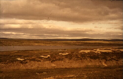 Kringla - fångstgrop, fjällvärld, bivddorågge